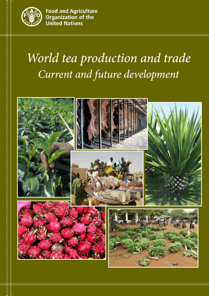 World Tea Production and Trade Current and Future Development