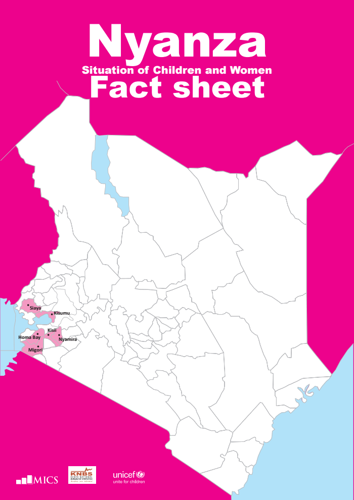 MICS4 Nyanza Factsheet