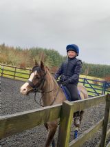 Ross-shire Riding Club | Home