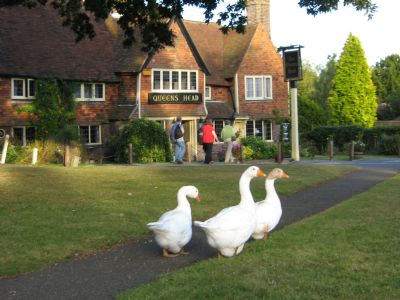 Walks in 1066 Country | SEDLESCOMBE 1 & 2