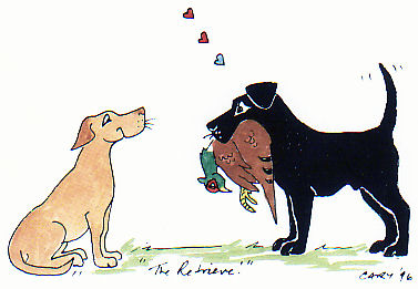 heather cary animal portraits | cartoon Cards