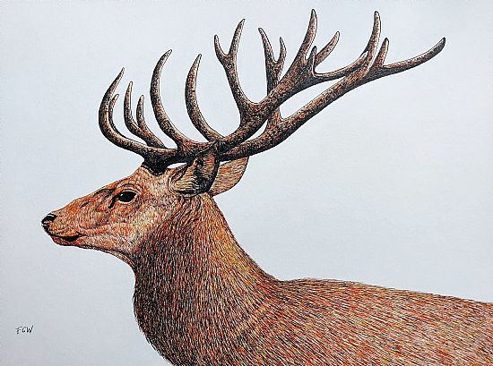 Fiona Webster Art | New Art Work