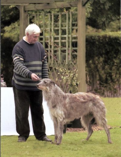 Breesfalt Deerhounds - involved in showing Deerhounds and as occasional ...