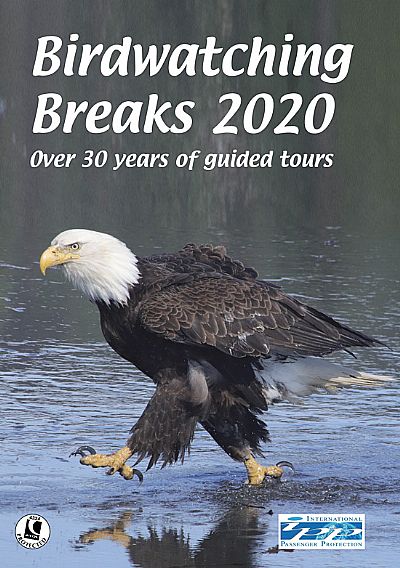Birdwatching Breaks - Over 25 years of guided tours