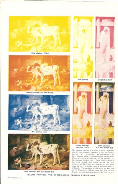 The Ephemera Album - an eclectic collection of printed paper | Print ...