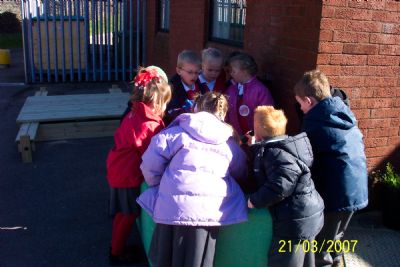 New Inn Community Website | NEW INN PRIMARY SCH