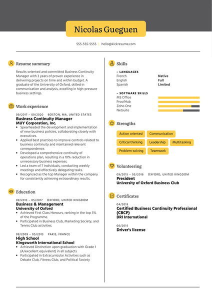 Wealth Manager Resume Sample | Kickresume