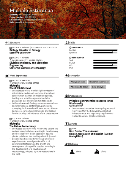 Mentor Resume Sample | Kickresume