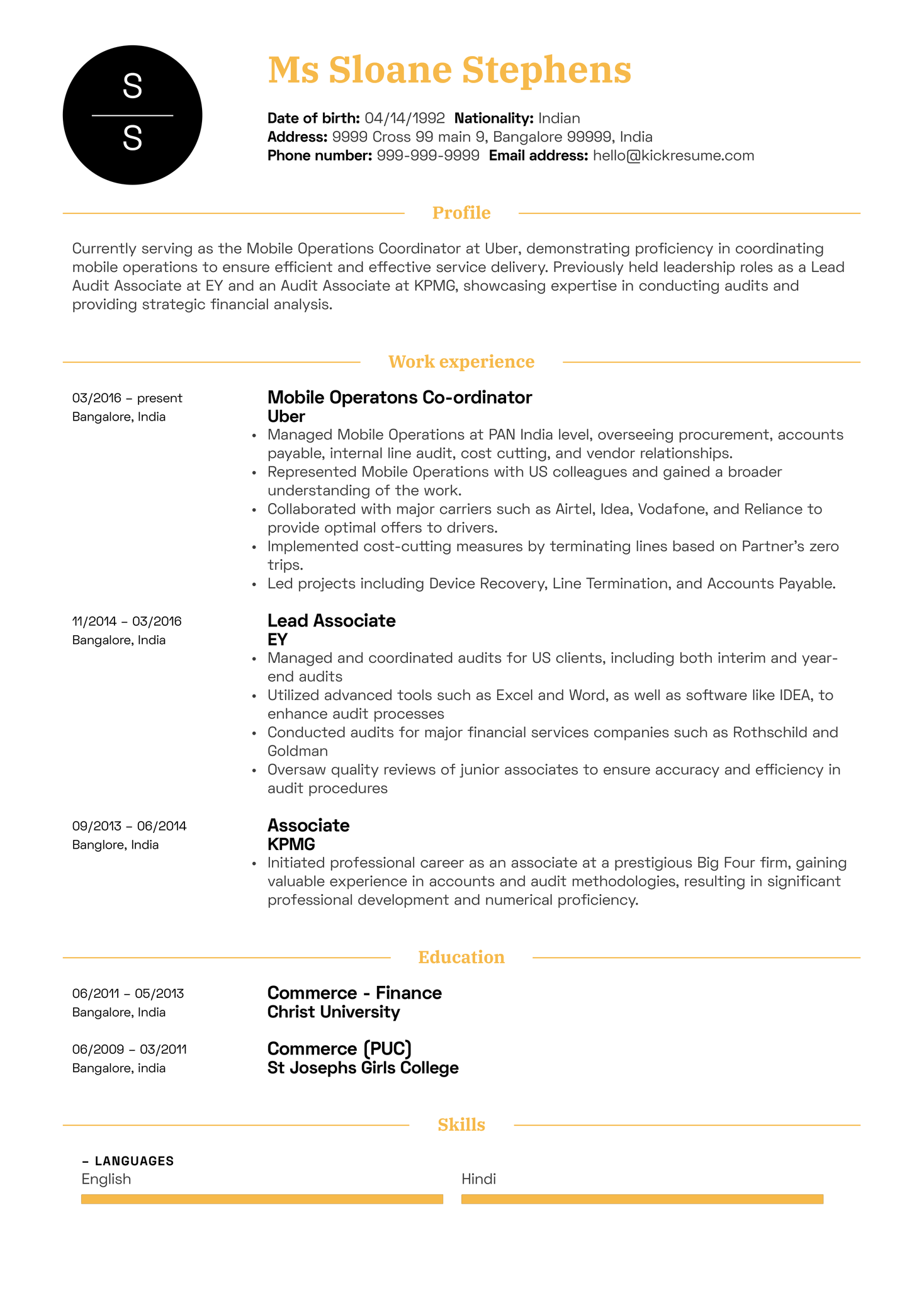 Project Manager Resume Template Kickresume