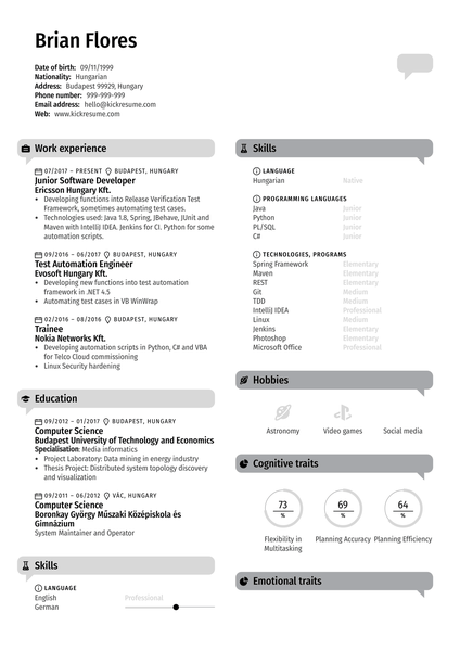 Junior Software Developer CV Sample Kickresume