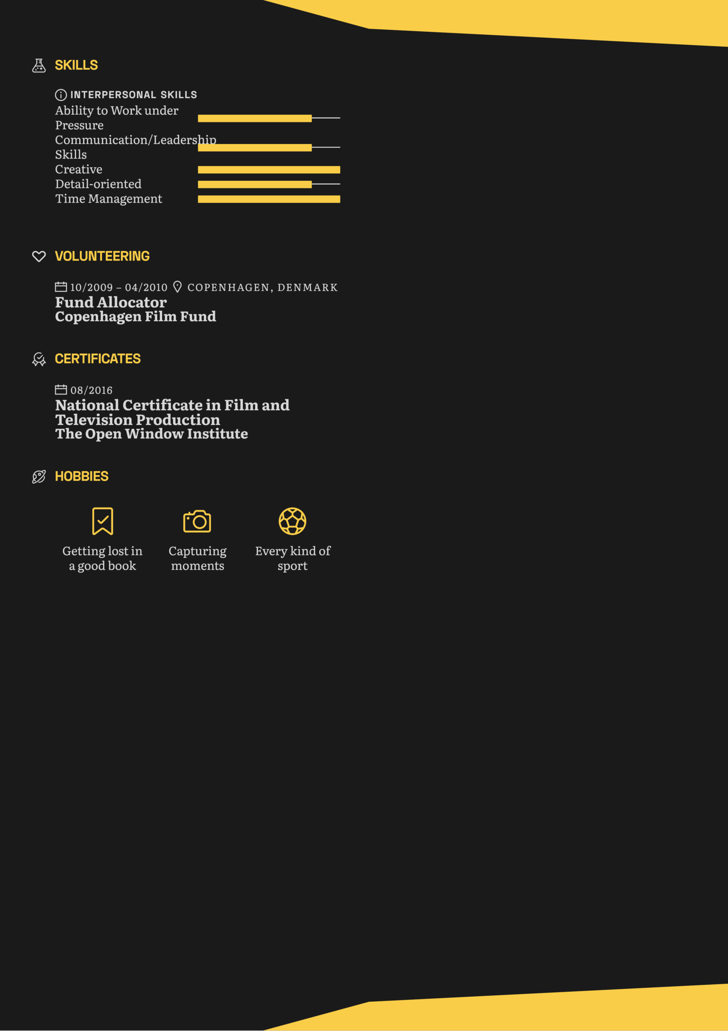 Film Director Resume Template Kickresume