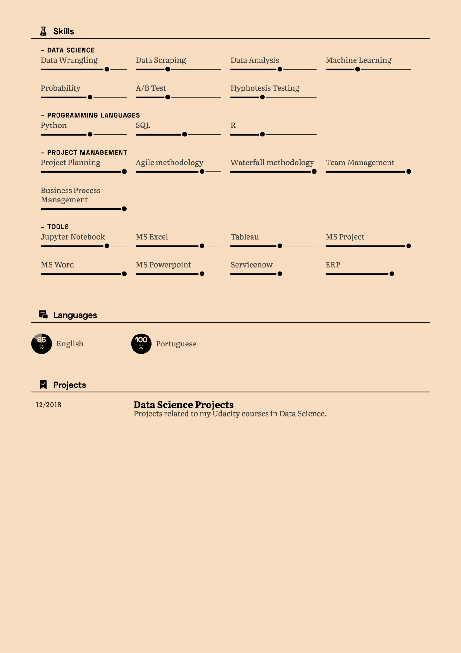 Senior Project Manager CV Example | Kickresume
