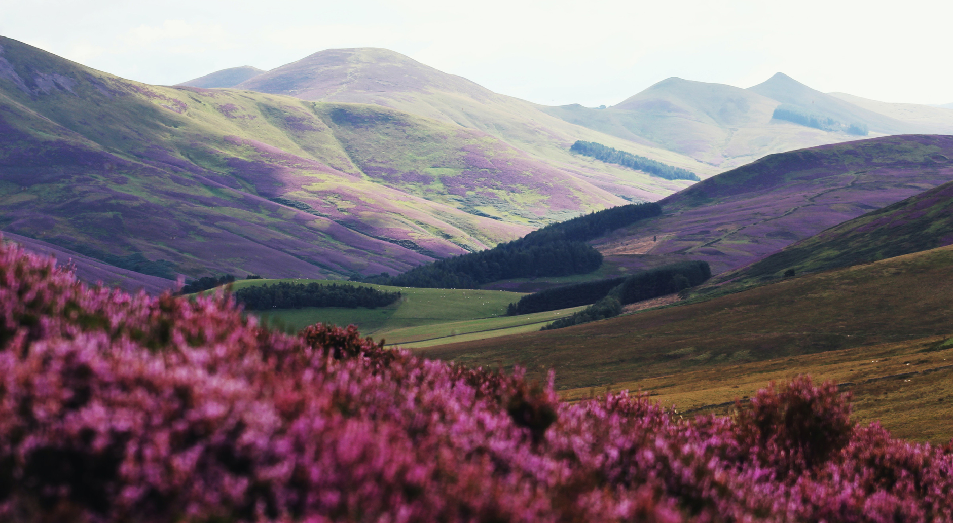Reasons to visit Scotland in Spring - Sawday's