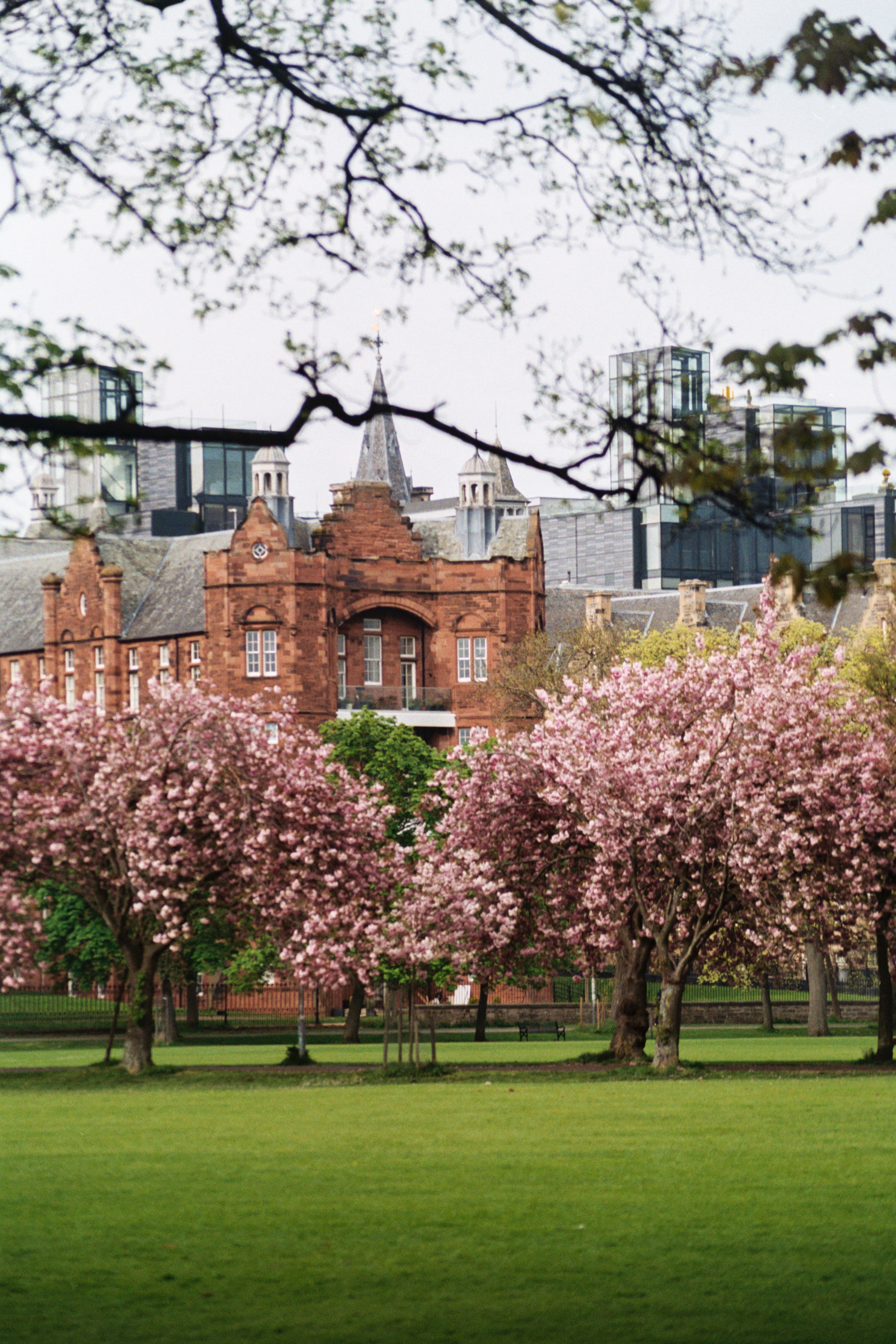 Reasons to visit Scotland in Spring - Sawday's
