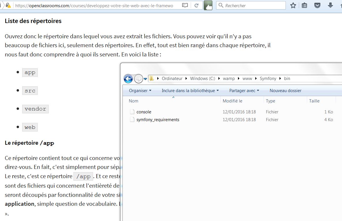 [symfony] Erreur De Generate Bundle Impossible De Générer Un Bundle Fonctionel Par Nclsndr