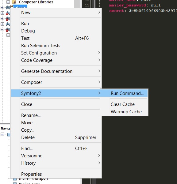 [résolu] [symfony] Micro Soucis Sur Netbeans Par Lyrenza Page 1 Openclassrooms