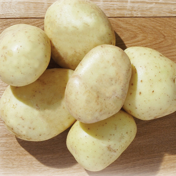 Potato (Second Early) Vivaldi from Mr Fothergill's Seeds and Plants