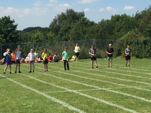 Forest View Primary School