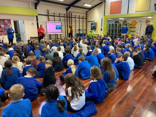 Forest View Primary School