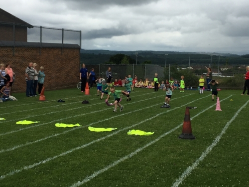 Forest View Primary School