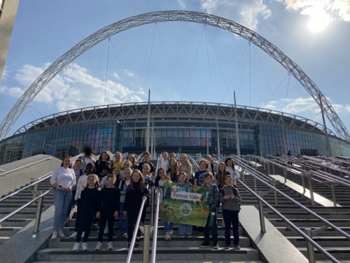 Forest View Primary School