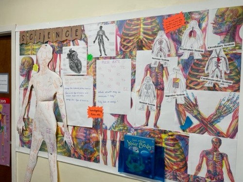 Science | Harbury C of E Primary School