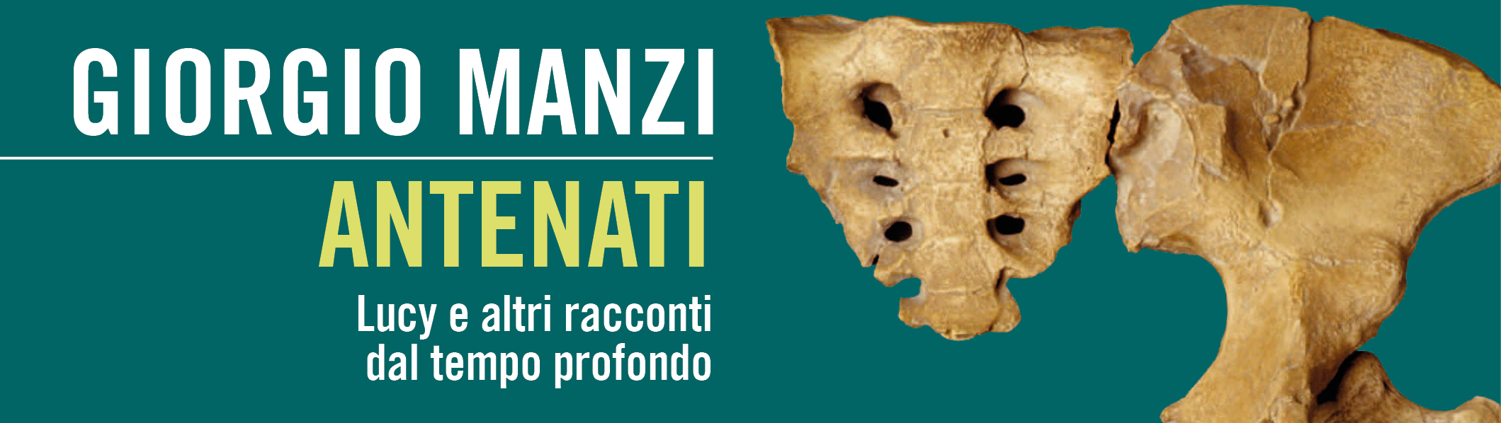 Homepage del Mulino
