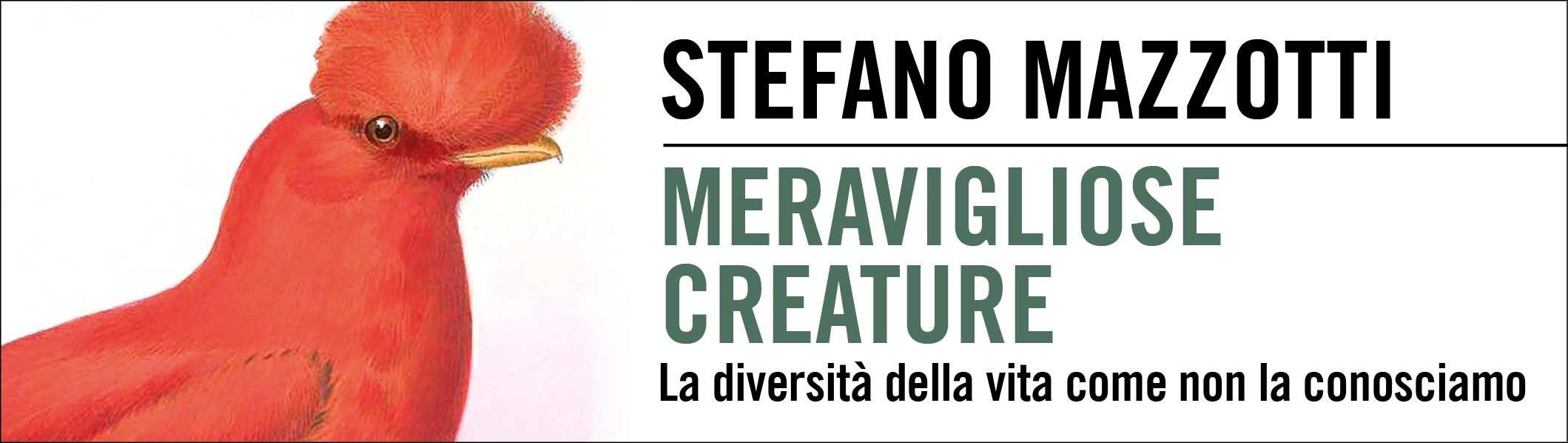 Homepage del Mulino