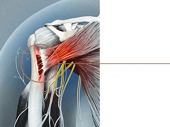 Conditions & Treatments