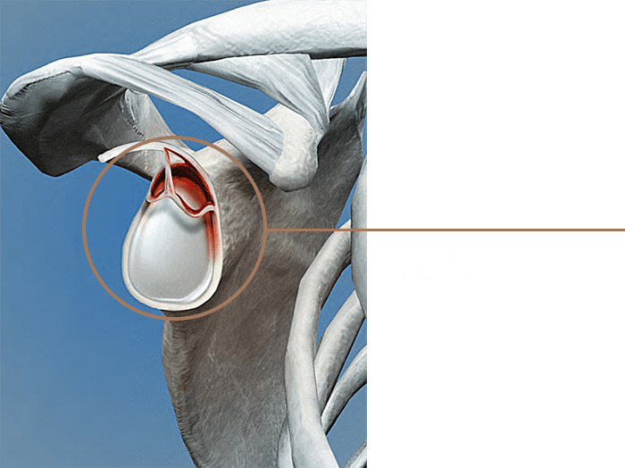 Conditions & Treatments