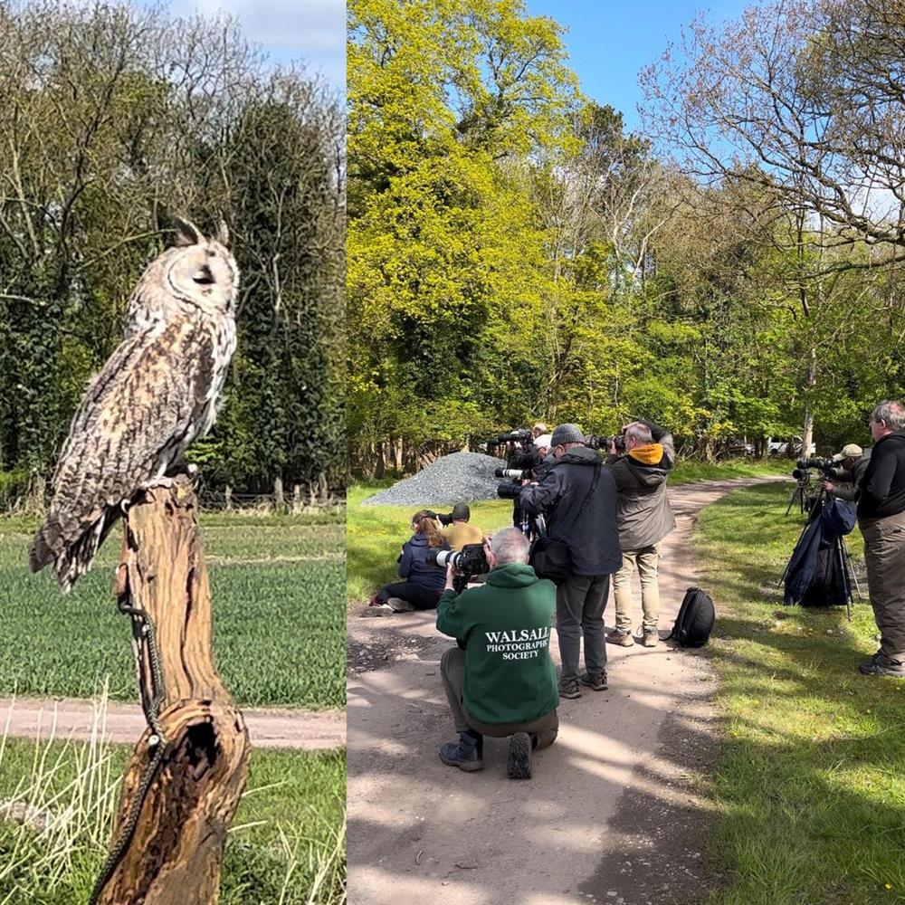 Focus on friendship - Beyond the Lens