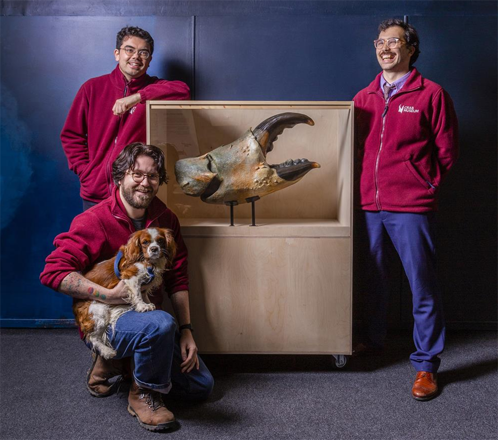 Help Margate's Crab Museum Grow!