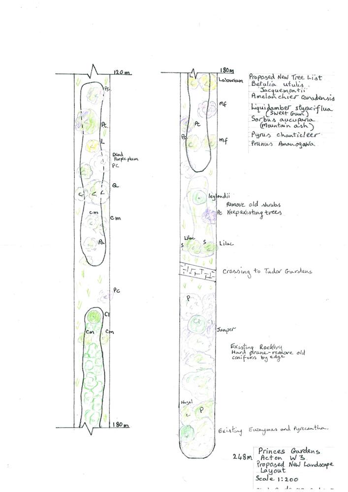 Creating a Cherry Tree Walk @ West Acton