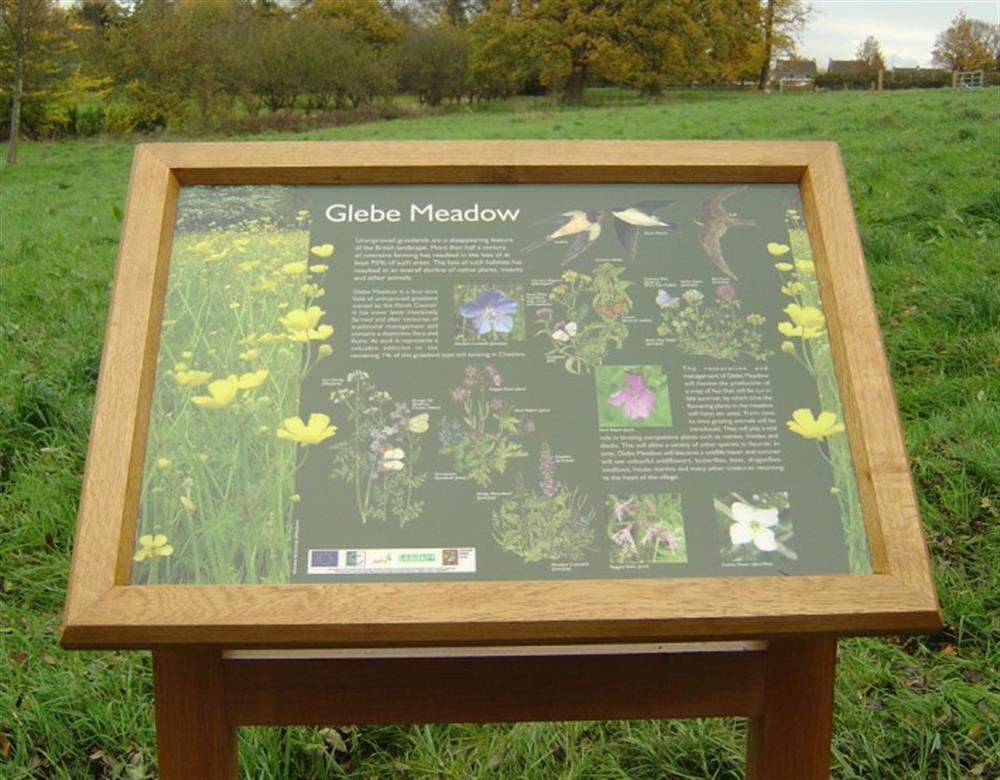 Glebe Field Biodiversity Improvements