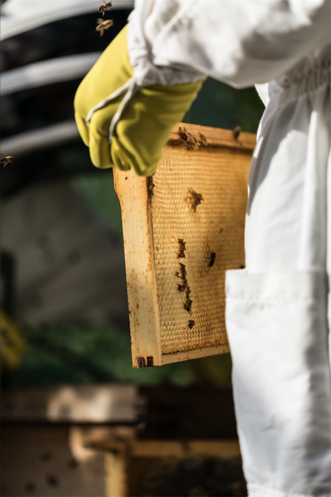 Bee-Spoke Learning Centre