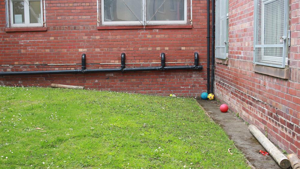 Growing our Forest Garden at Mosspits