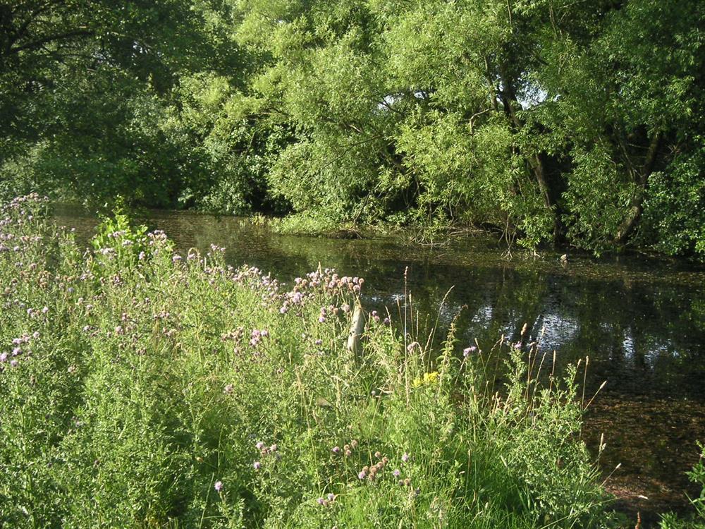 River-Friendly Farming at Fordhall Farm
