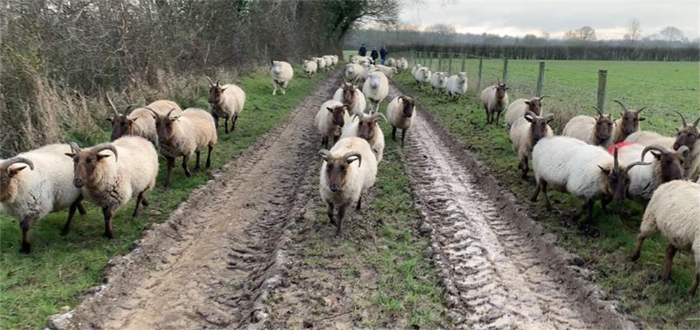 Junior Community Farmers at Perry Court