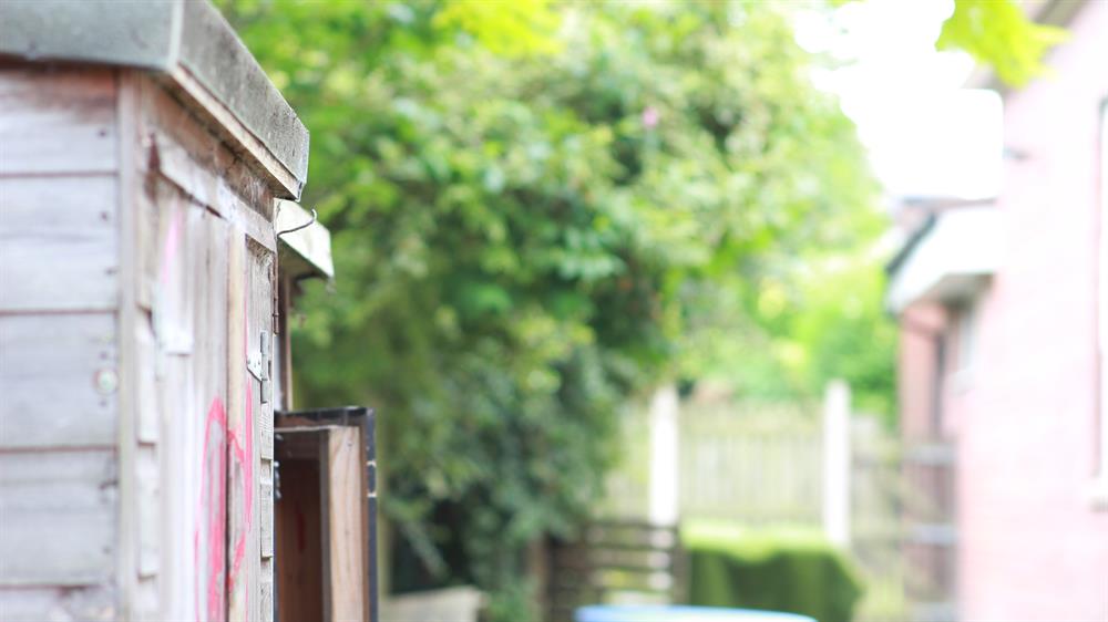 Growing our Forest Garden at Mosspits