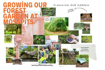 Growing our Forest Garden at Mosspits