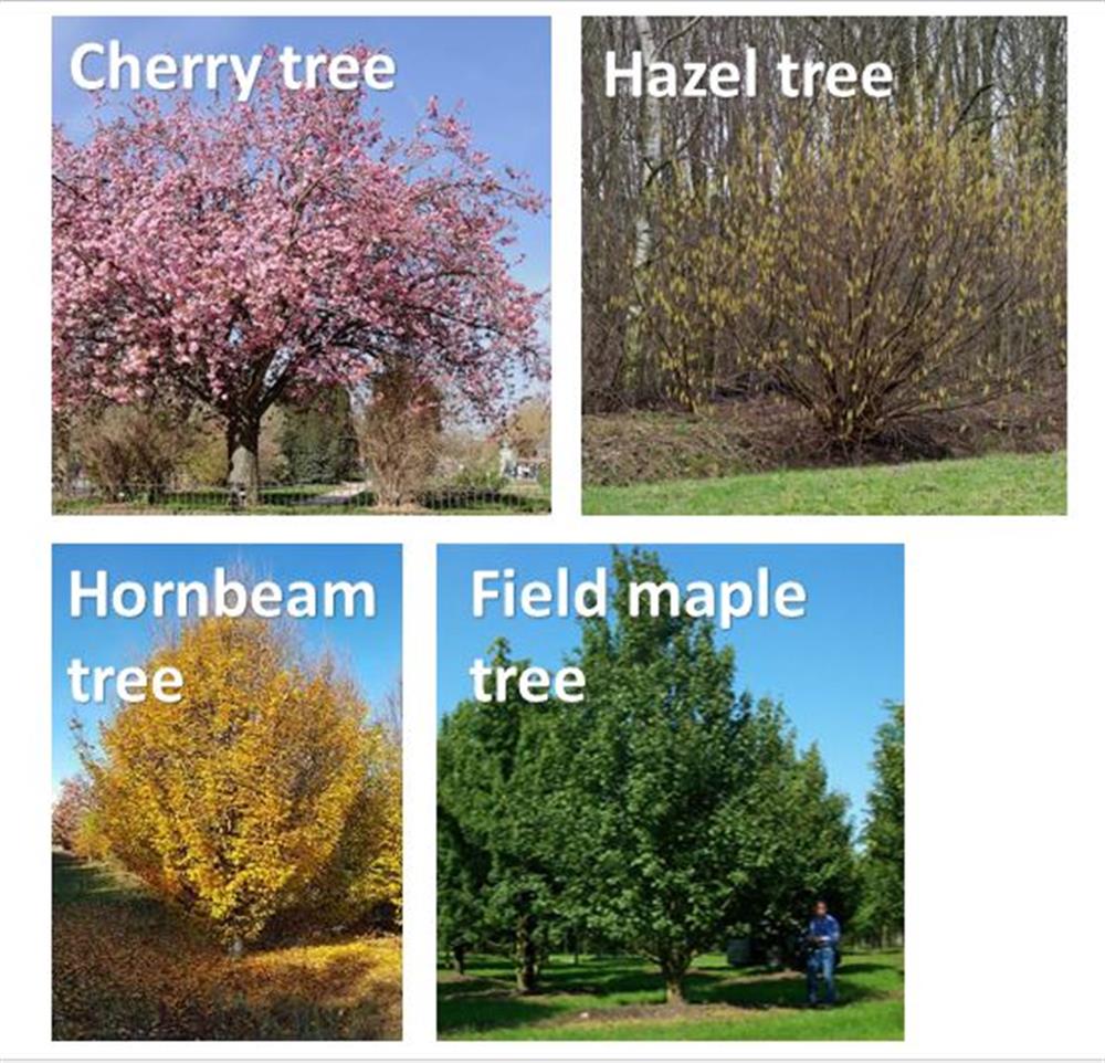 Creating a wildlife wonderland