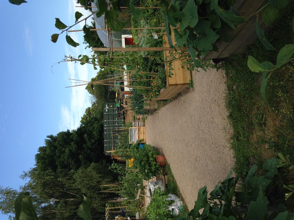 Safe paths for Clapham community garden