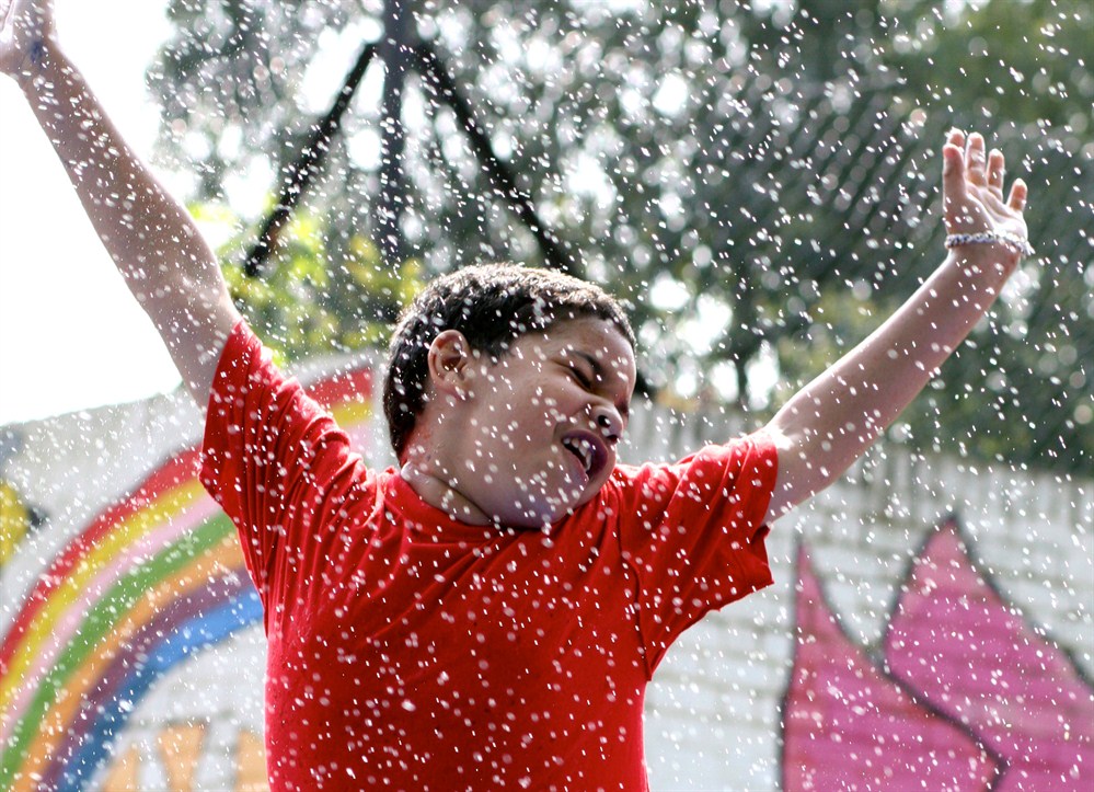 Stockwell Urban Oasis