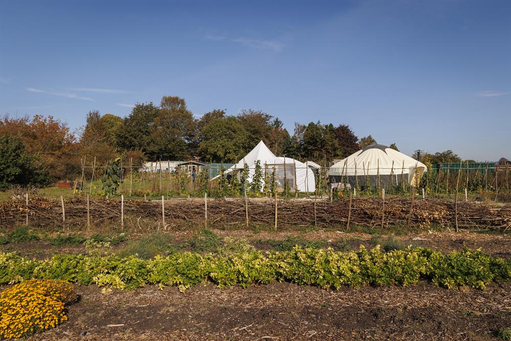 Bereavement Gardening at Communigrow