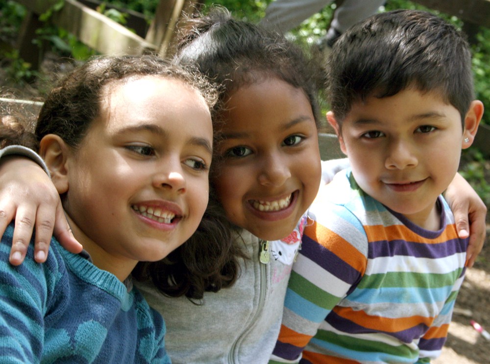 Stockwell Urban Oasis