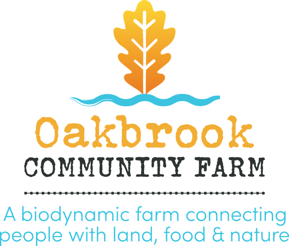 Little hands on the land