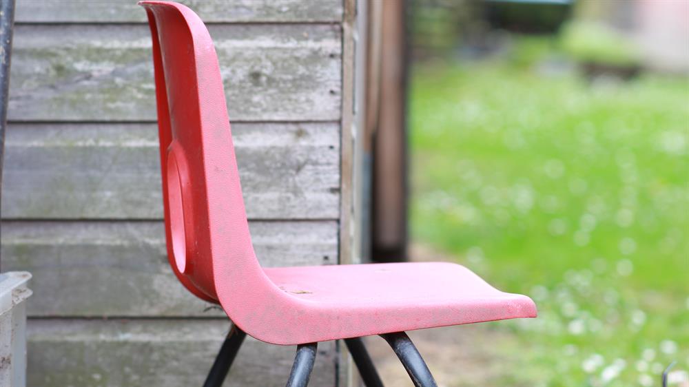 Growing our Forest Garden at Mosspits