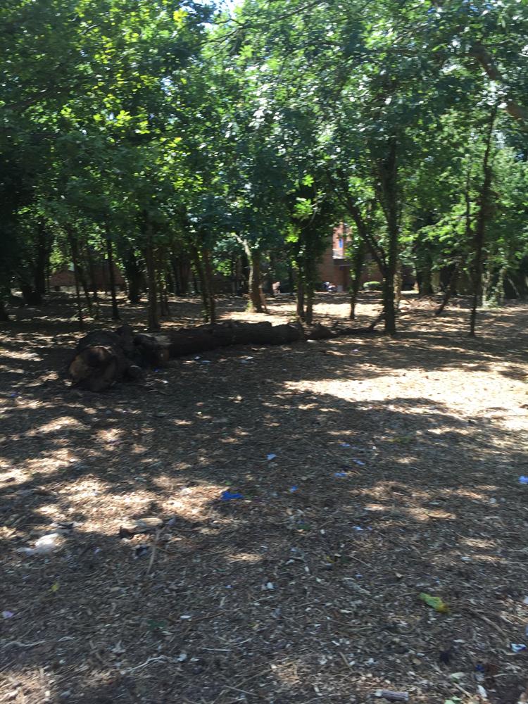 Transforming Copley Close - TYS2