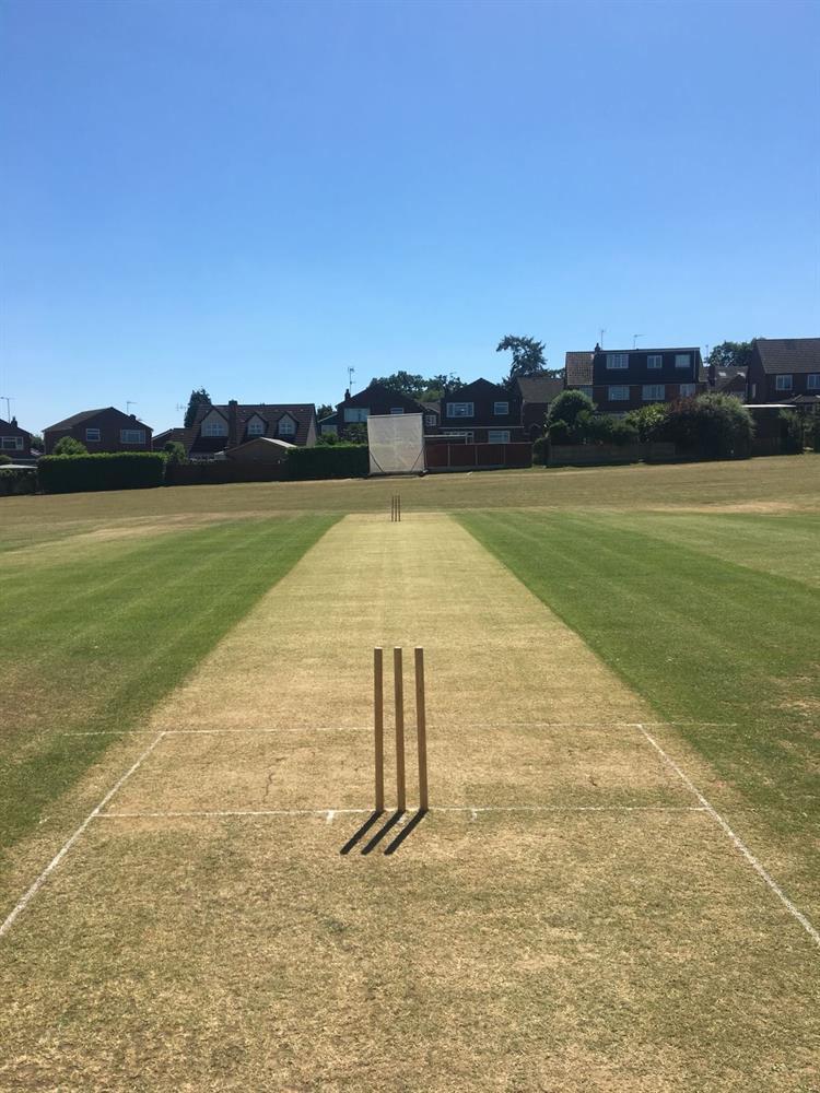 Covid-19: Support Bengeo Cricket Club