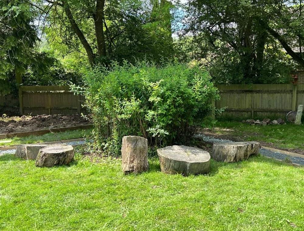 Oak Therapies Sensory Oasis